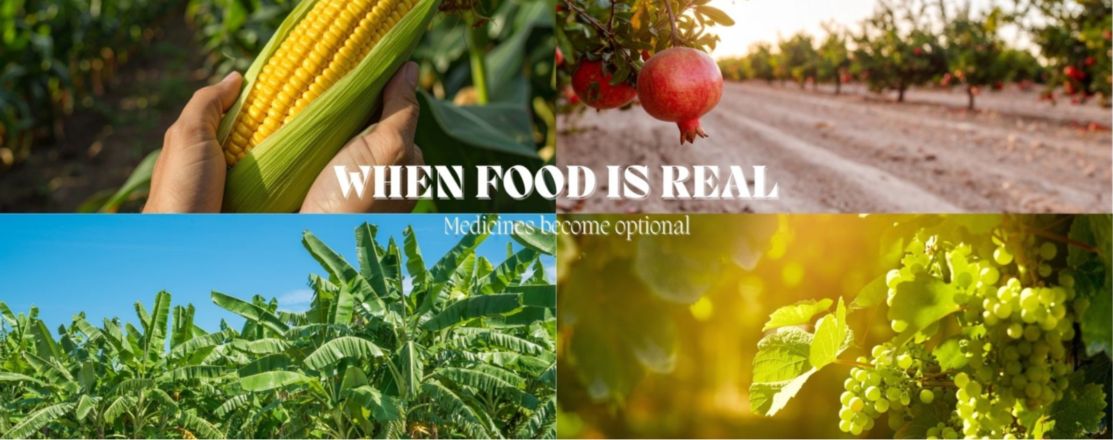 The Future of Healthcare Starts on the Farm | Magnus Farm Fresh